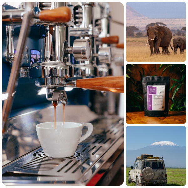 Buy Coffee Beans Online | Yorkshire coffee roaster | Limini Coffee